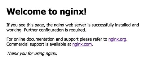 welcome to nginx 웹사이트에 표시되는 이유는