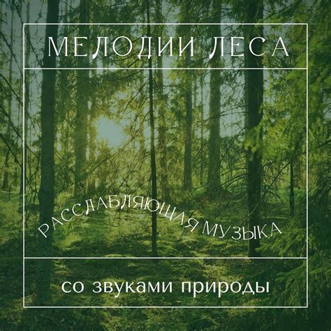 ‎Мелодии леса Расслабляющая музыка со звуками природы Album By Татьяна Mелодичный Apple Music