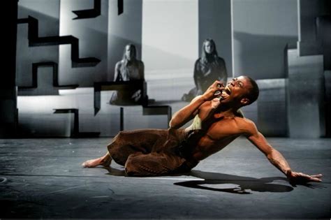 우리 사회에 존재하는 다양한 억압 드러낸 덫의 도시 노컷뉴스