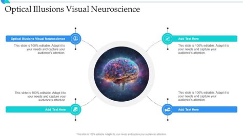 optical illusions visual neuroscience ppt example cpp ppt sample