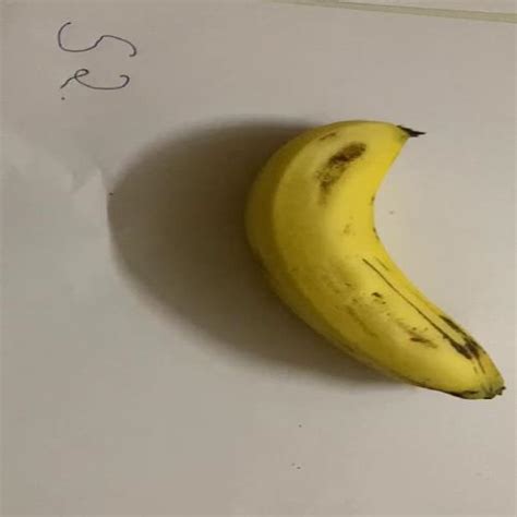 Food Spoilage Detection Using Yolo Roboflow Universe