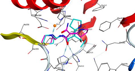 Superposition Of 18 Pink And 28 Cyan Binding To Ace Download Scientific Diagram
