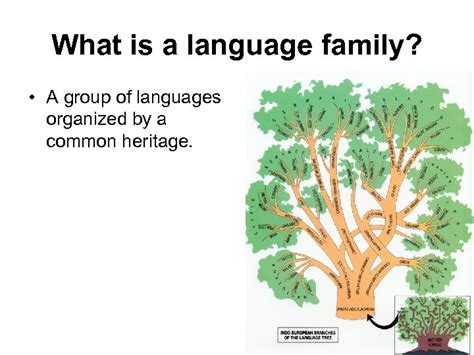 Language Families Evolution Of Language
