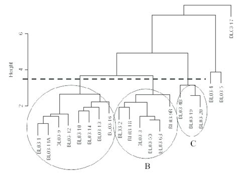 dendrogram showing ward s linkage clustering euclidean distances