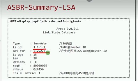 OSPF 基础知识 学习笔记 不知名de菜鸟 博客园