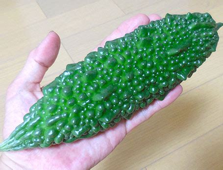 2014年 緑のカーテン ゴーヤ初収穫 ヨガと官足法で素敵生活