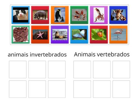 Separe Os Invertebrados Dos Vertebrados Group Sort