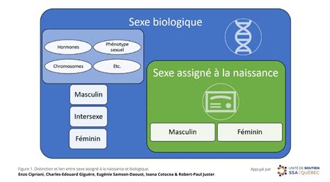 Equity Diversity Inclusion Sex And Gender Unité Soutien Ssa Québec