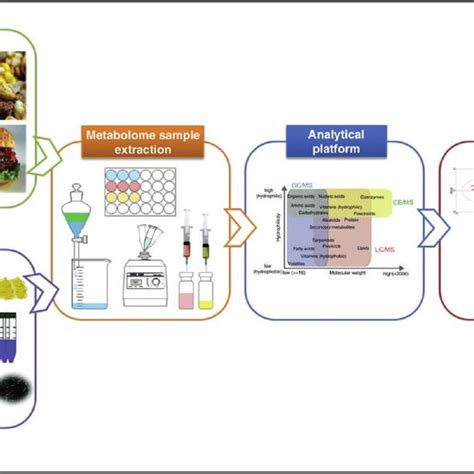 The Workflow Of Food Metabolomics Consisting Of Food And Human Sample