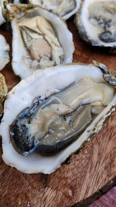 Talaba Wag Lang Isawsaw Sa Suka Talaba Wag Lang Isawsaw Sa Suka By Mommy K Of Krish Kusina