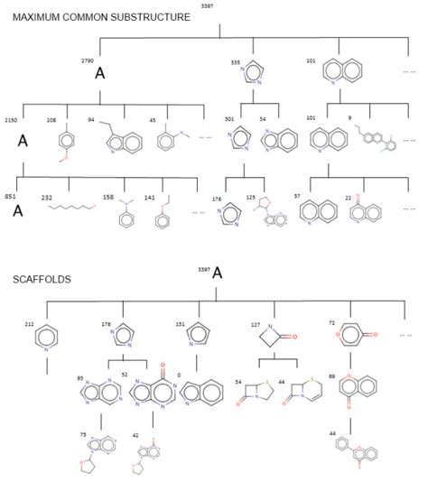 Scaffold And Mcs Based Hierarchies Scaffold Based And Maximum Common