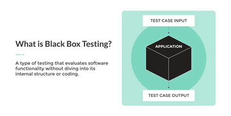 Black Box Testing Types Tools Techniques