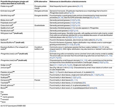 Phytolith Microfossil Identification Criteria And Reference Download Table