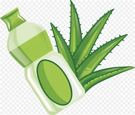 芦荟果肉酸奶PNG图片素材下载 图片编号qglomrog 免抠素材网