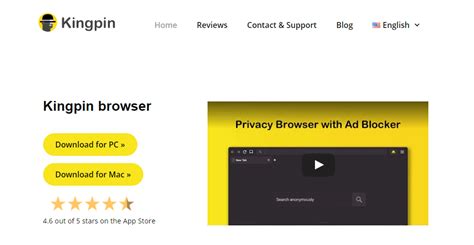 Kingpin Private Browser Review Wavetiklo