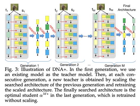 Revolutionizing Neural Network Design The Emergence And Impact Of Dna