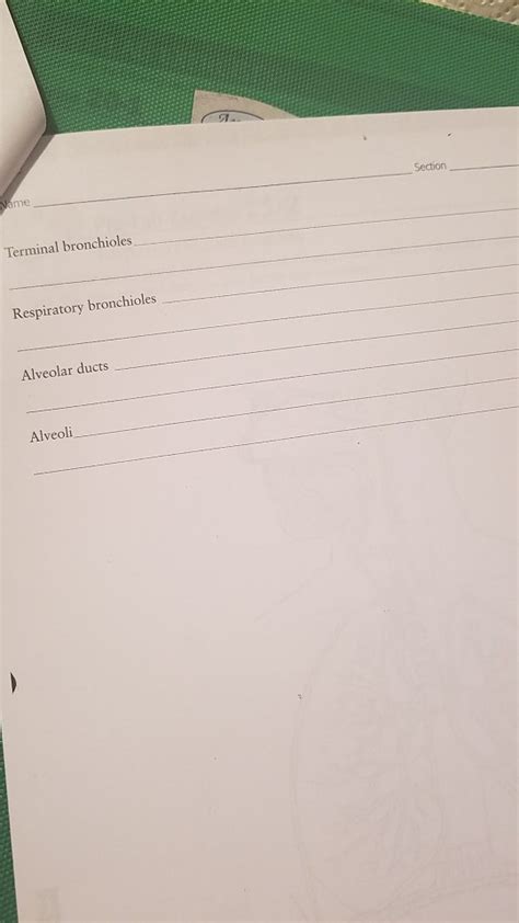 Solved Name Section PRE LAB EXERCISES Complete The Following Chegg Com