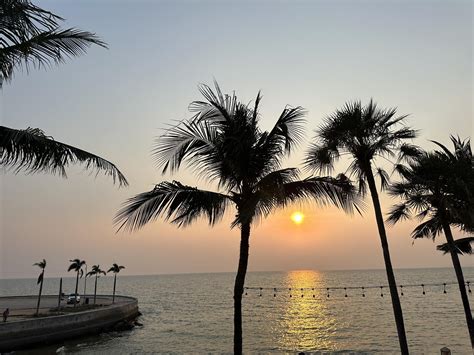 ป้ายถือนำขบวน ป้ายขบวนพาเหรด ป้ายกีฬาสี ป้ายคณะ ป้ายต้อนรับ ป้ายปักต้นไม้ ป้ายถือนำขบวน ขนาด