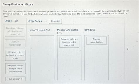 Solved Binary Fission Vs ﻿mitosisbinary Fission And