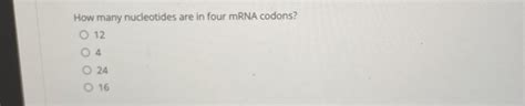 Solved How Many Nucleotides Are In Four MRNA Codons Chegg Com