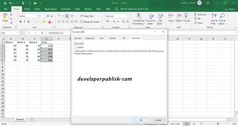 Hide And Lock Formulas In Excel Developer Publish