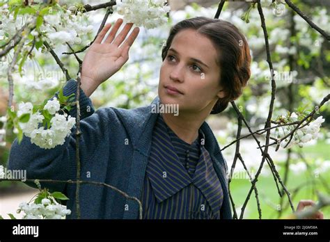 Alicia Vikander Testament Of Youth Stock Photo Alamy