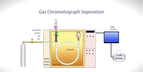 Mohammed Elsayed On Linkedin Training Chromatography Chromatograph Chromatogram Gc…
