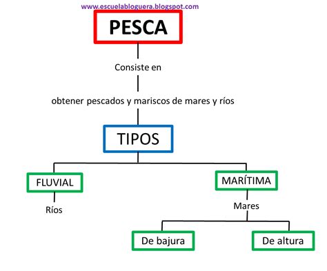 Diagrama De Vara De Pesca