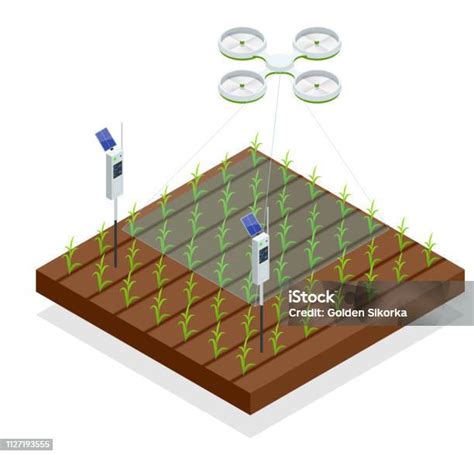 무인 항공기 제어 작물 성장 메일 및 해충의 수 분의 사용 농업 자동화 스마트 농업 개념 아이소메트릭 벡터 일러스트 레이 션 등측투영법에 대한 스톡 벡터 아트 및 기타