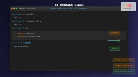 Fg Command Linux Complete Guide To Managing Background And Foreground Jobs Codelucky