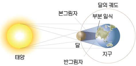 금성출판사 티칭백과