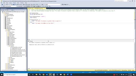Cis 231 Lecture Bek Sql Scripts Parallel Exercises And Commentary
