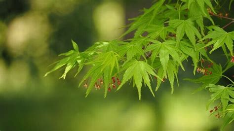 Spring Bootのweb画面上でデータ検索機能を追加してみた完成イメージと前提条件｜itエンジニアとして経験・学習したこと