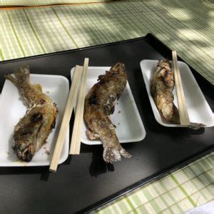 流しそうめんを楽しむ津幡の木窪大滝が素敵だったいいじぃモード