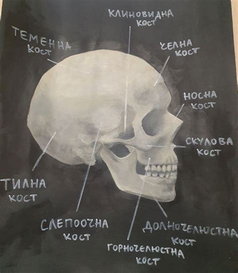 Steam методологията в СофтУни БУДИТЕЛ