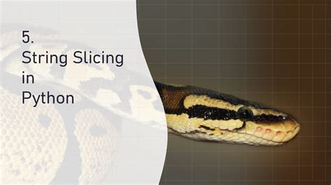 5 String Slicing In Pyhhon Youtube