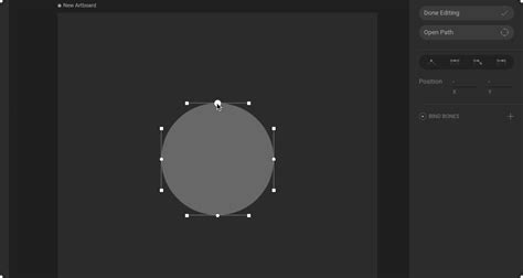 Edit Vertices
