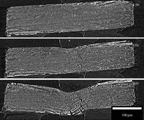 Time Lapse Synchrotron X Ray Tomographic Cross Sections I13 Diamond Download Scientific