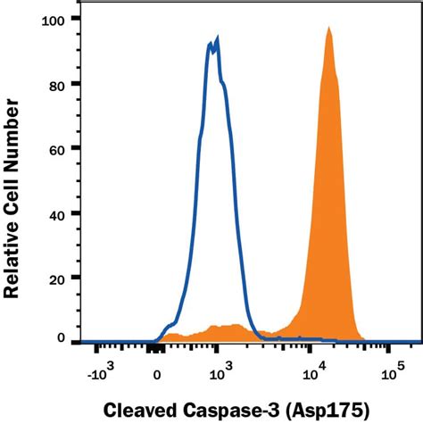 Humanmouse Cleaved Caspase 3 Asp175 Antibody Mab835 Bio Techne