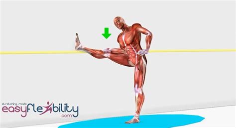 Tight Hamstrings Are Your Hamstrings Very Tight This Special