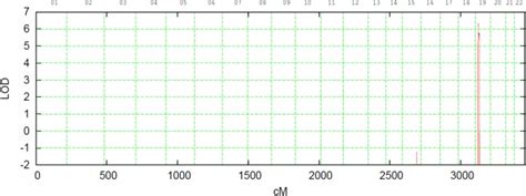 Multipoint Parametric Linkage Analysis Of The Kindred Indicating A