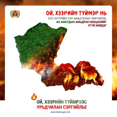 Ой хээрийн түймэрт 19 453 га талбай шатжээ