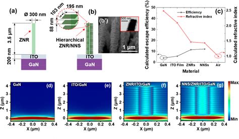 Figure 4 From Self Aligned Hierarchical Zno Nanorodnio Nanosheet