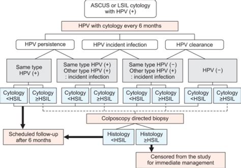 Histology Flow Chart Ponasa