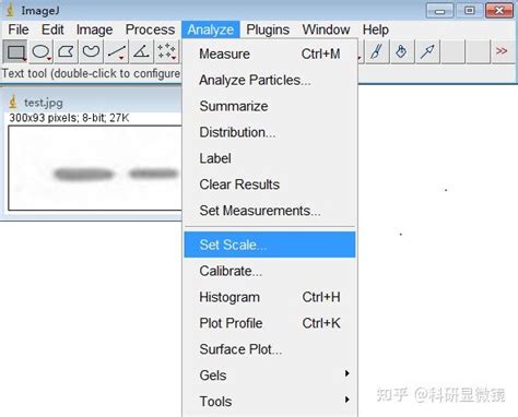 Imagej惊艳登场！分分钟搞定wb条带灰度分析（内含免费软件包） 知乎