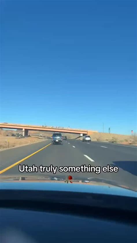 Utah Meme Trends