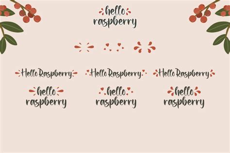 Hello Raspberry Demo Font Fonts