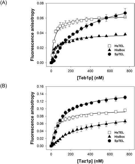 What Is Dna Fluorescence Anisotropy At Lisa Cunningham Blog