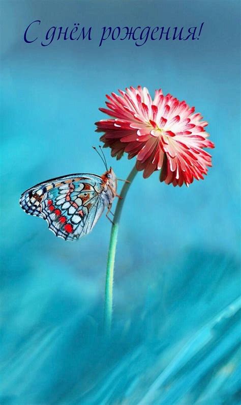 Стильные открытки Женщине с днем рождения