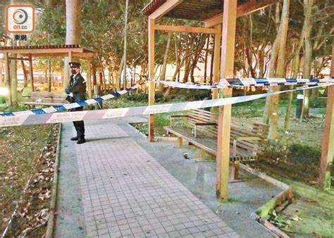 南亞情侶公園談心遇襲 東方日報